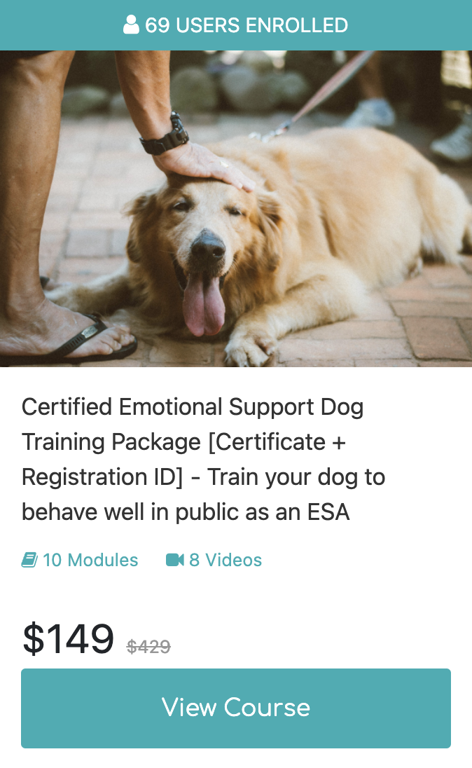 Service Dog Training School International - online school