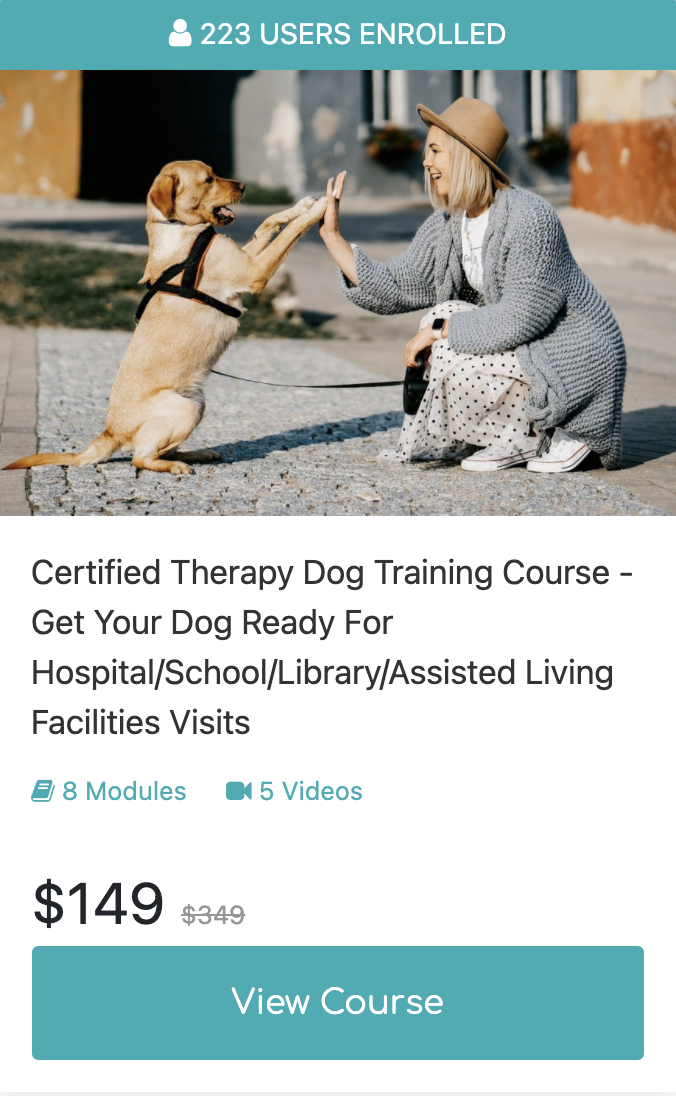 Service Dog Training School International - online school