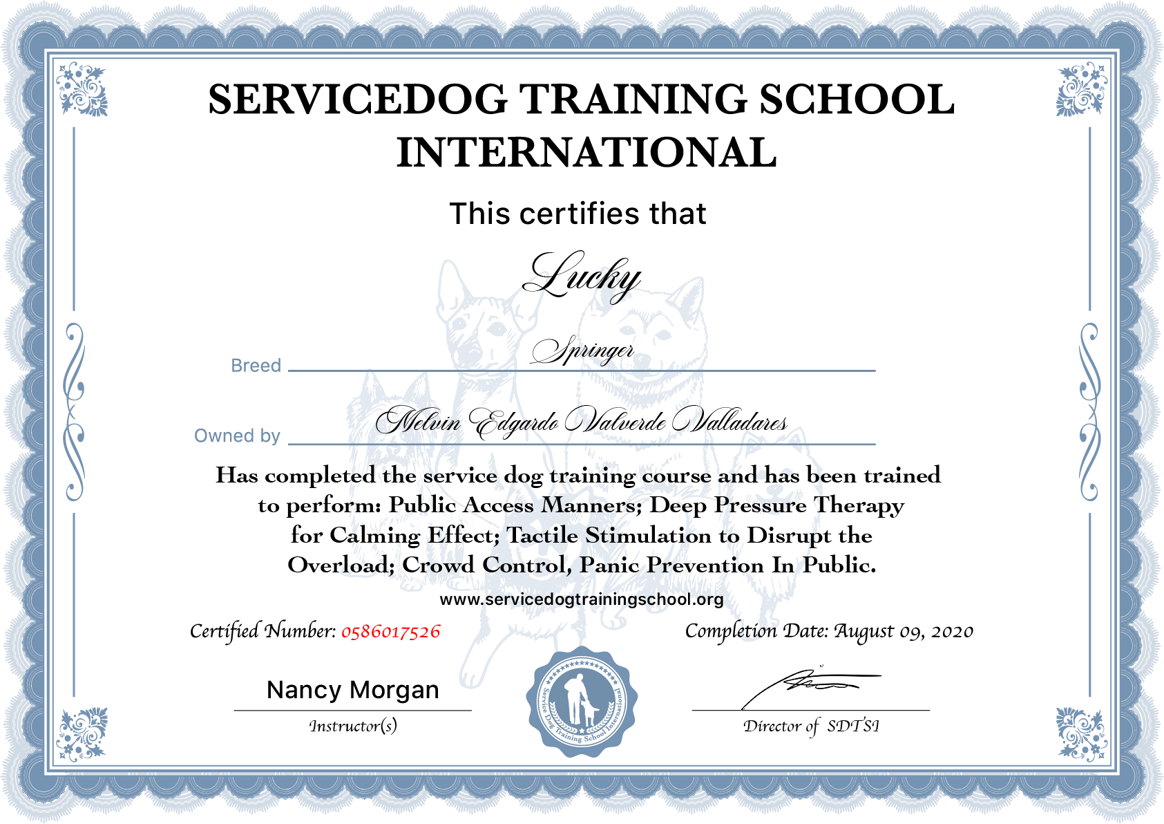Service Dog Training School International Certified Intensive