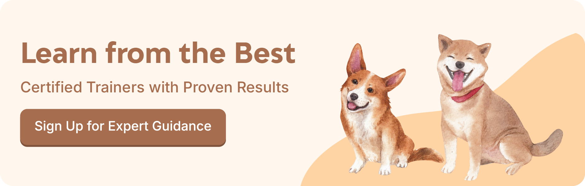 10 Psychiatric Service Dog Tasks That You Want to Know