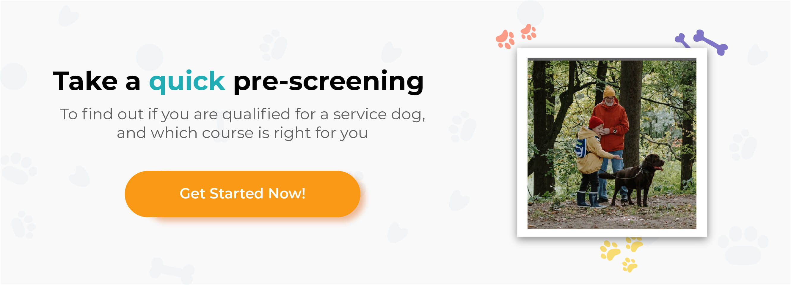 Online School | Service Dog Training School International